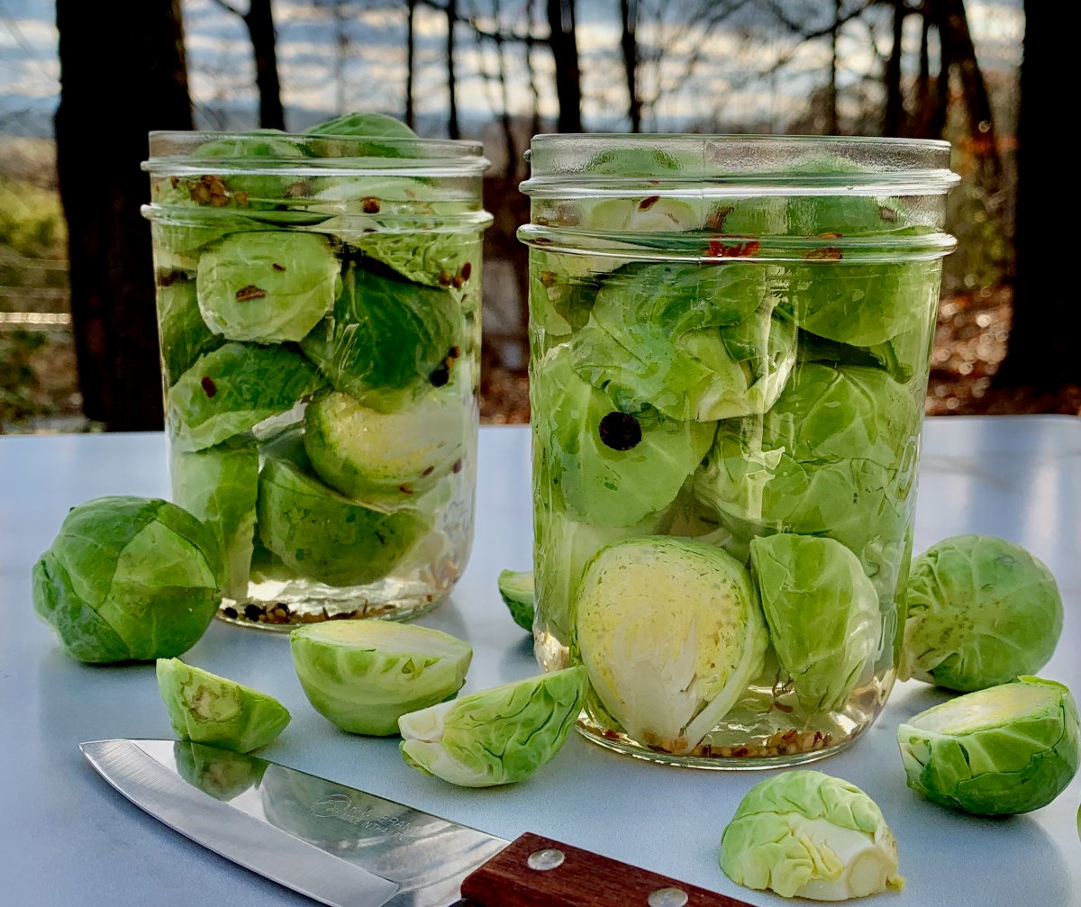 Quick Pickled Brussels Sprouts | Mary Duke Cooks!